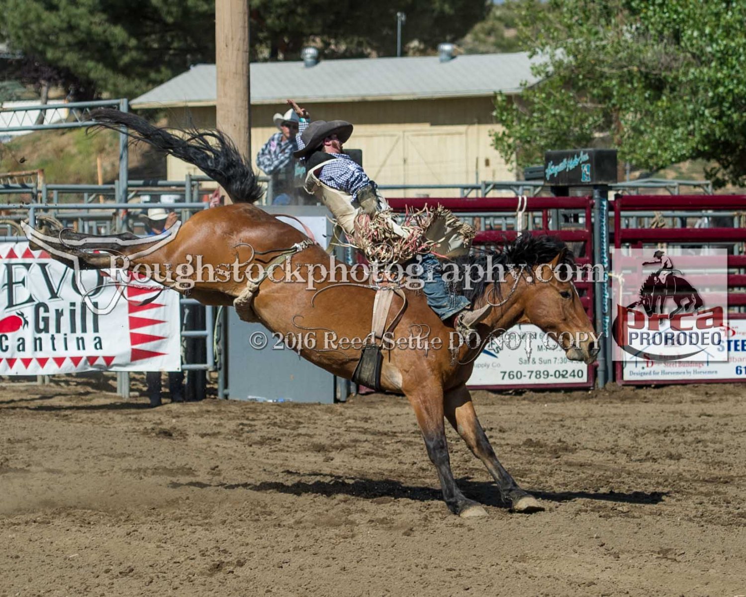 Rodeo/Event - 2016 - Ramona PRCA Rodeo - Performance 3 - Roughstock ...