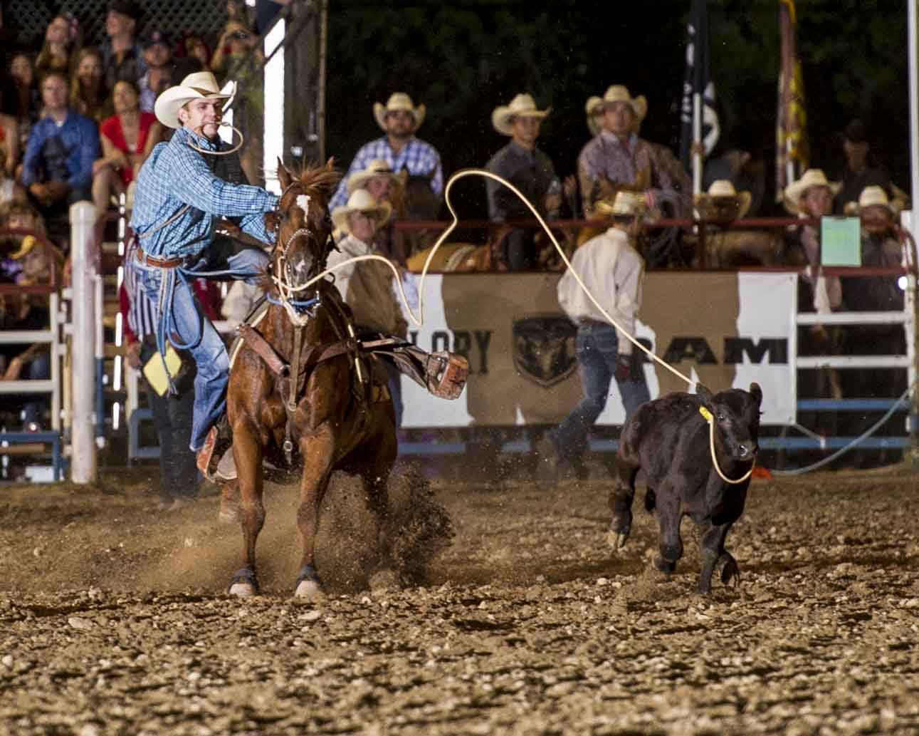 Rodeo/Event - 2016 - Prescott PRCA - Perf 7 - Timed Events ...