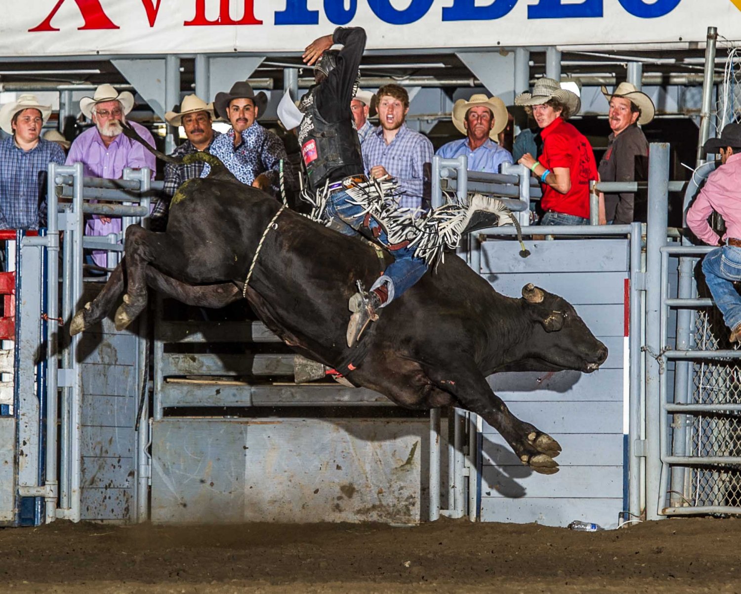 Rodeo/Event - 2016 - Bulls Only IPRA Rodeo - Perf 2 - Bulls ...