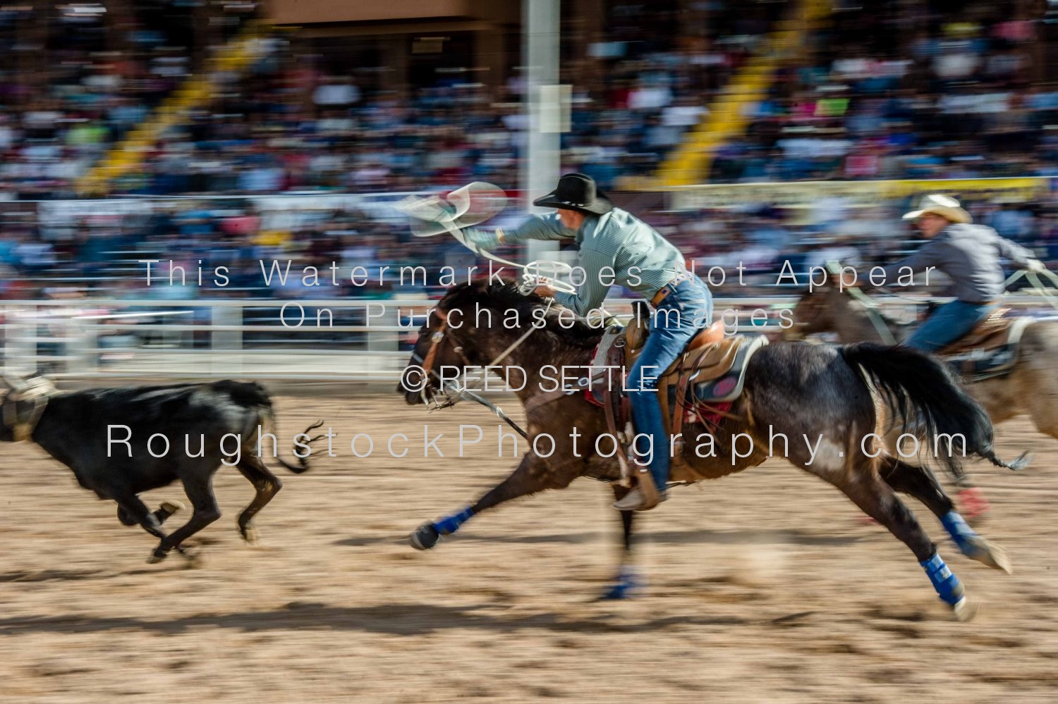 Team Roping - Rodeo/Event - 2017 - Yuma PRCA - Perf 3 - Timed Events ...