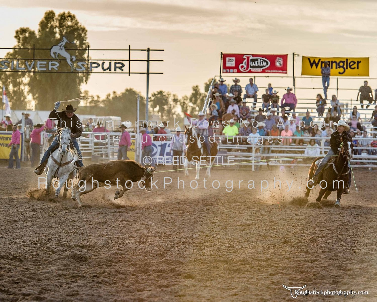 Team Roping - Rodeo/Event - 2018 - Yuma PRCA Rodeo - Perf 2 - Timed ...