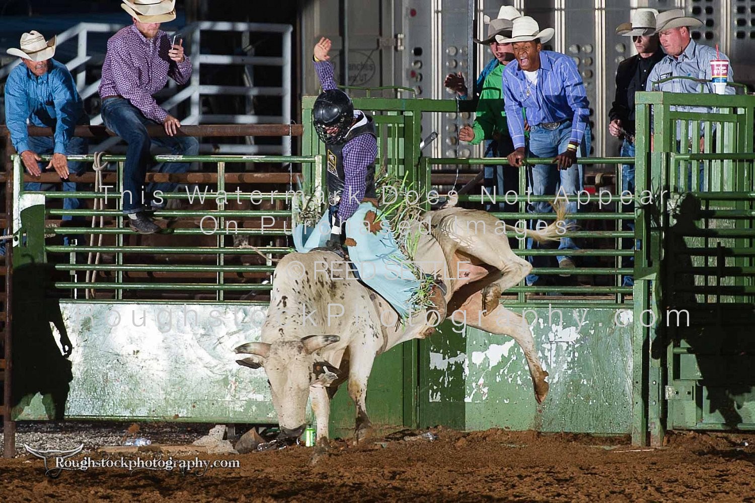 Bulls - Rodeo/Event - 2018 - Sanpete County Fair RMPRA Rodeo - Perf 2 ...