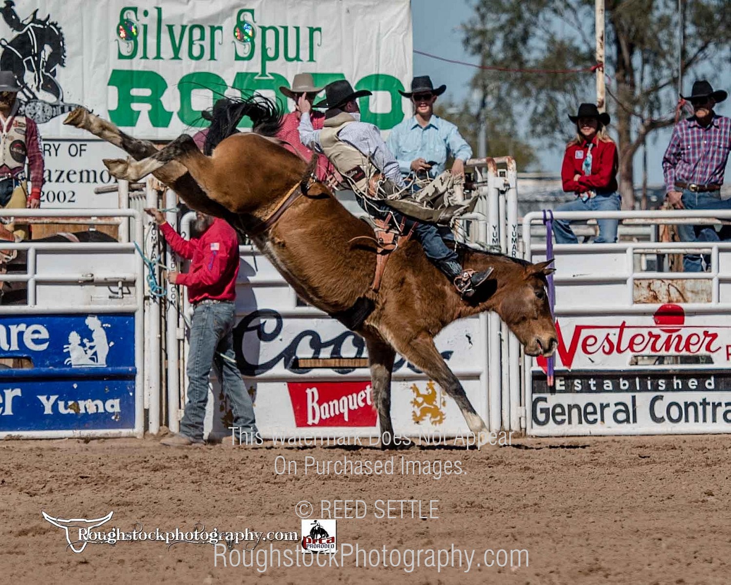 BareBack - Rodeo/Event - 2019 - Yuma Silver Spur PRCA Rodeo - Perf 3 ...