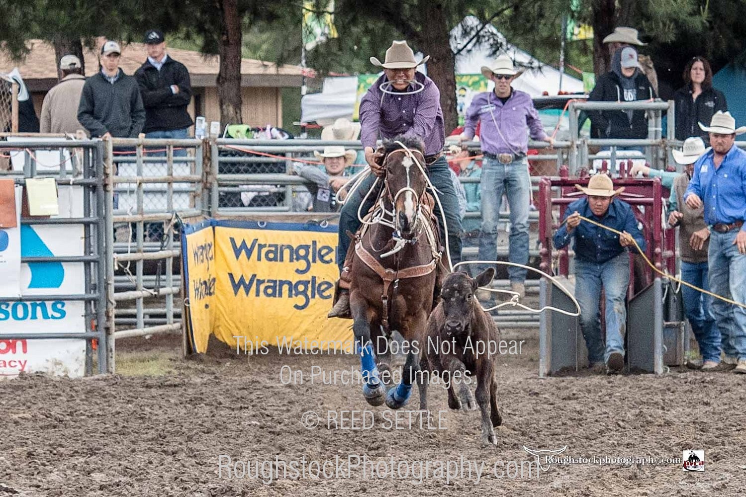 Tie Down - Rodeo/Event - 2019 - Ramona PRCA - Perf 3 - Timed Events ...