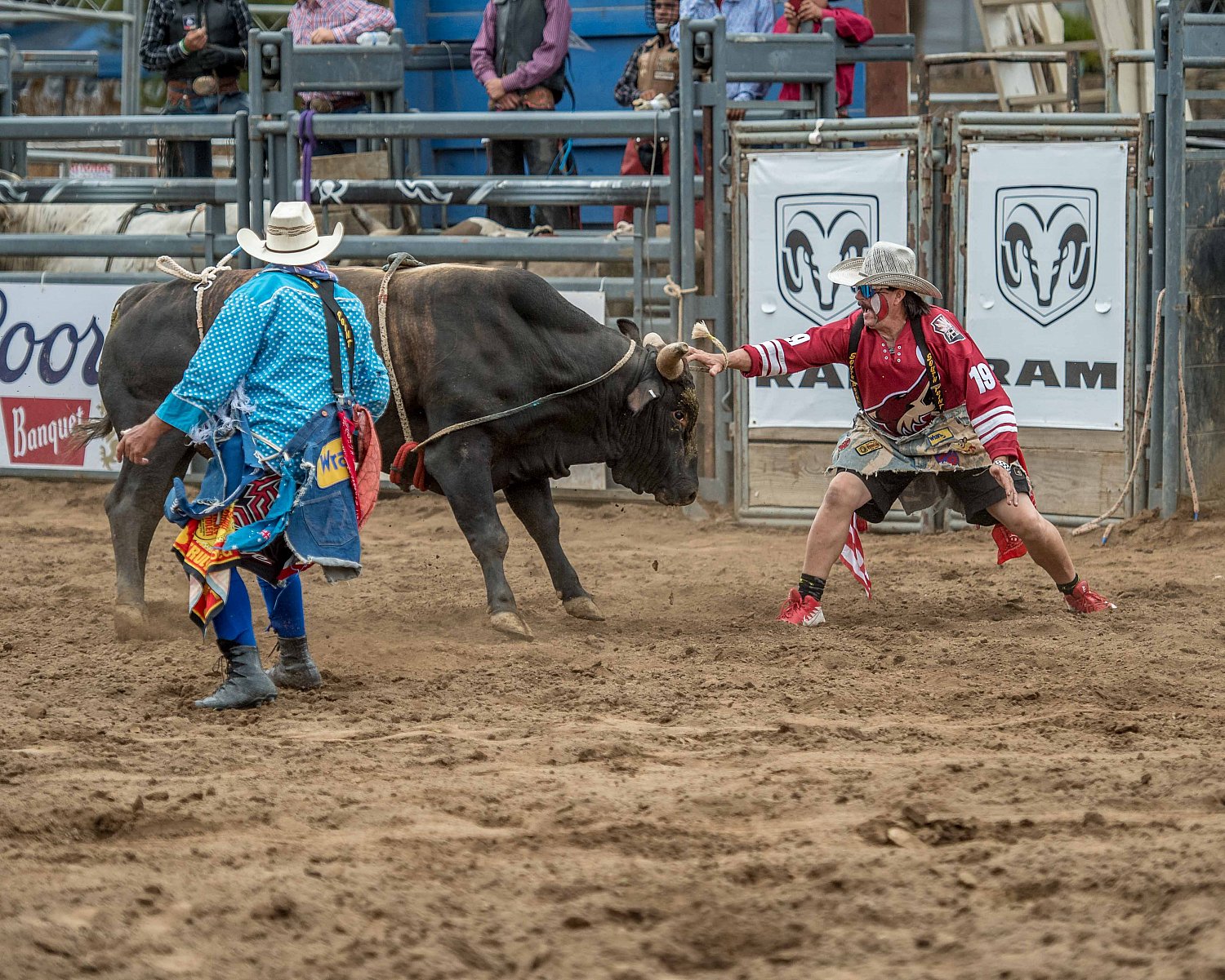 Rodeo/Event - 2019 - Poway PRCA - Perf 2 - Roughstock ...