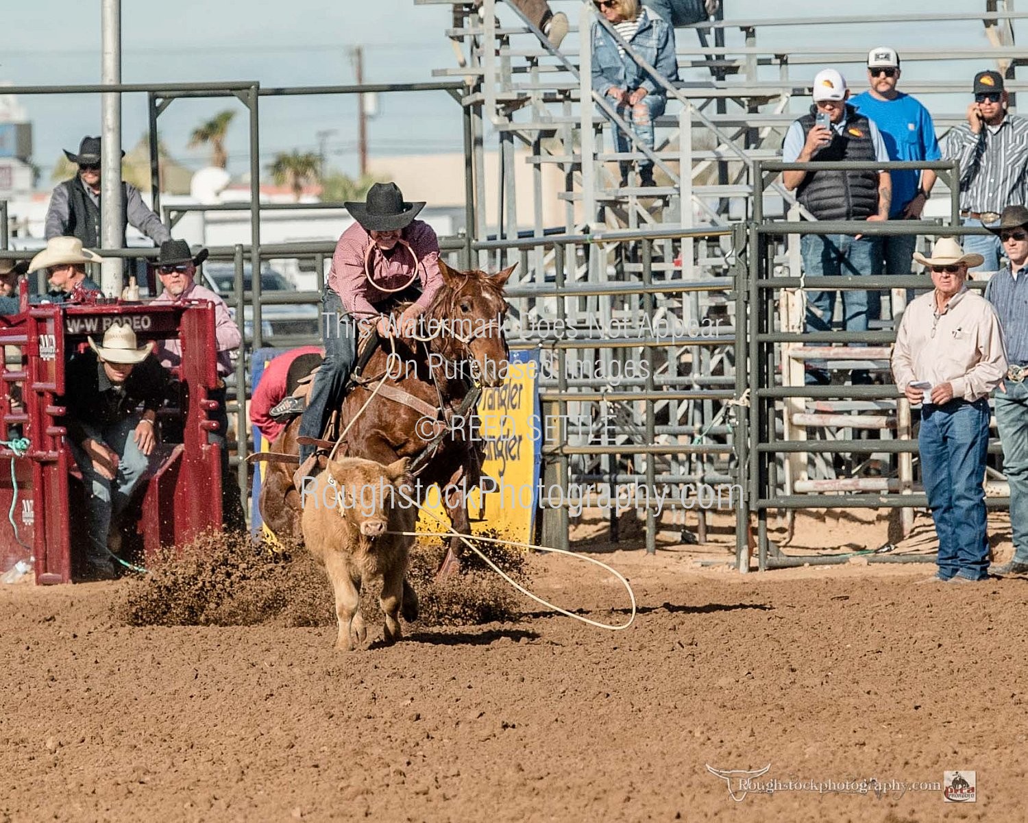 Tie Down - Rodeo/Event - 2025 - Yuma 2025 PRCA - Slack 1 ...