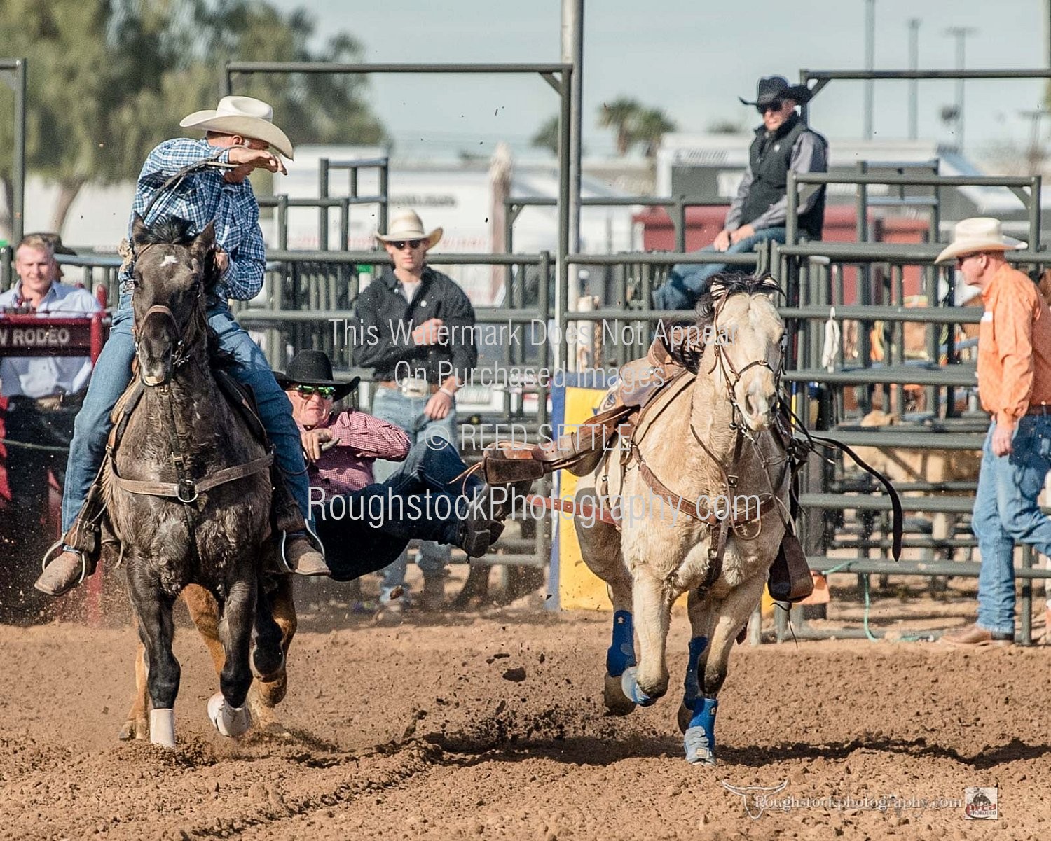 Steer Wrestling - Rodeo/Event - 2025 - Yuma 2025 PRCA - Slack 1 ...