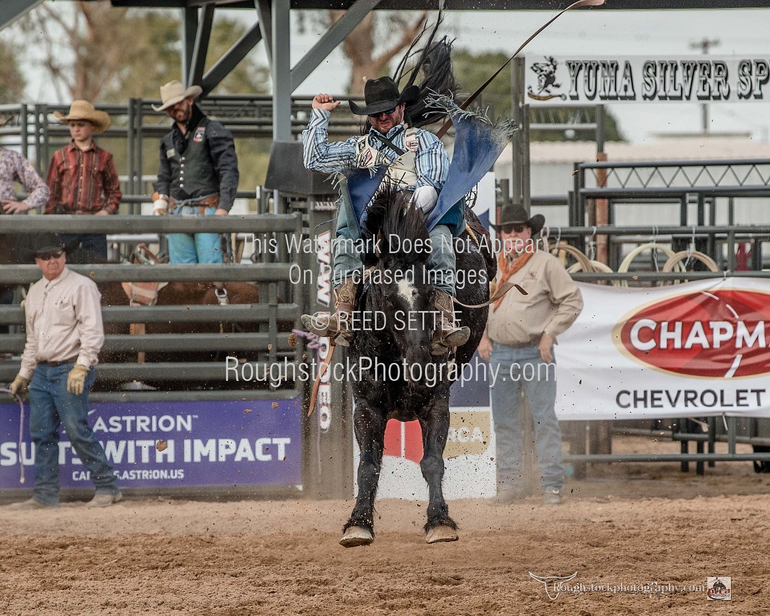 Bareback - Rodeo/Event - 2025 - Yuma 2025 PRCA - Perf 1 - Roughstock ...