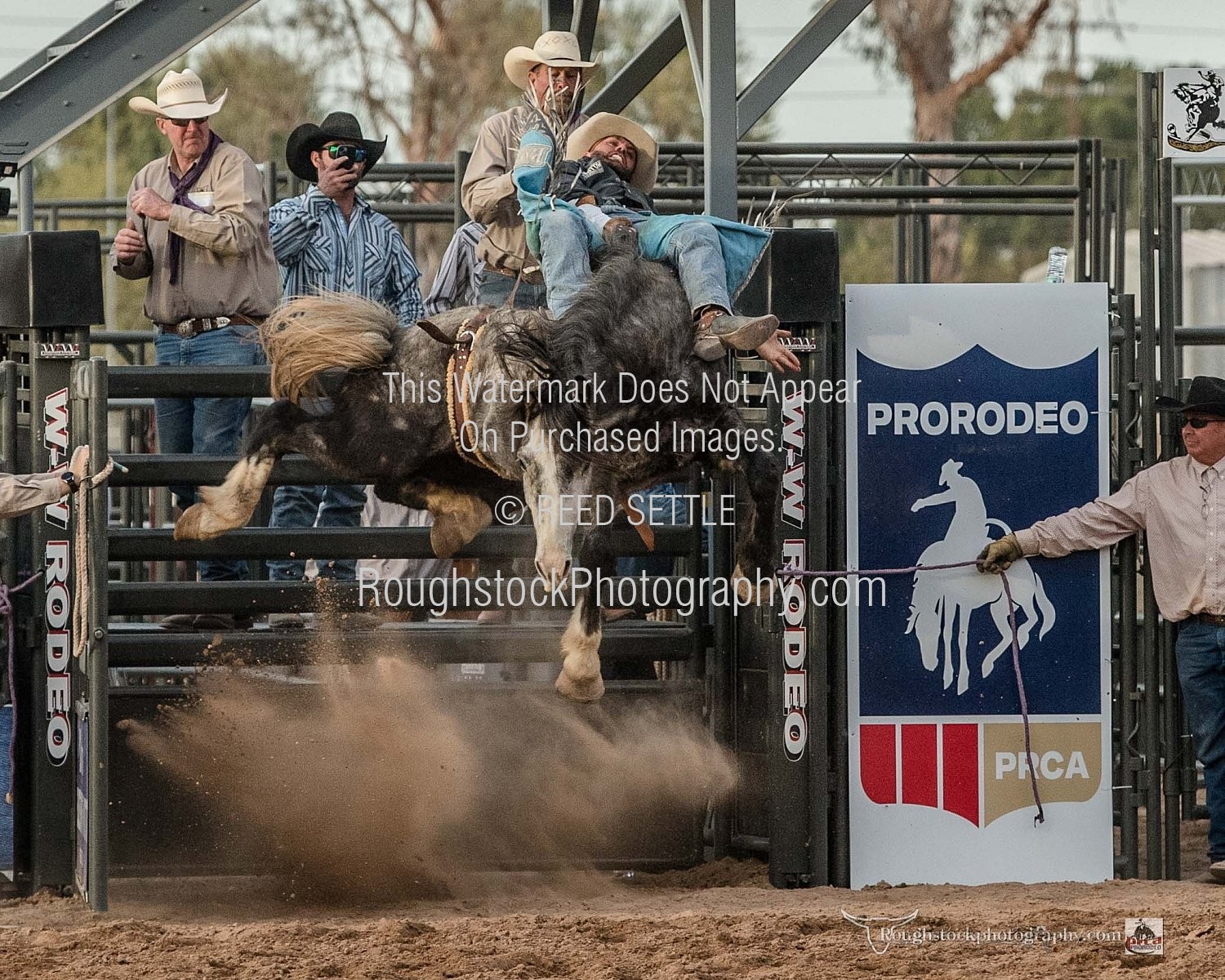 SaddleBronc - Rodeo/Event - 2025 - Yuma 2025 PRCA - Perf 1 - Roughstock ...