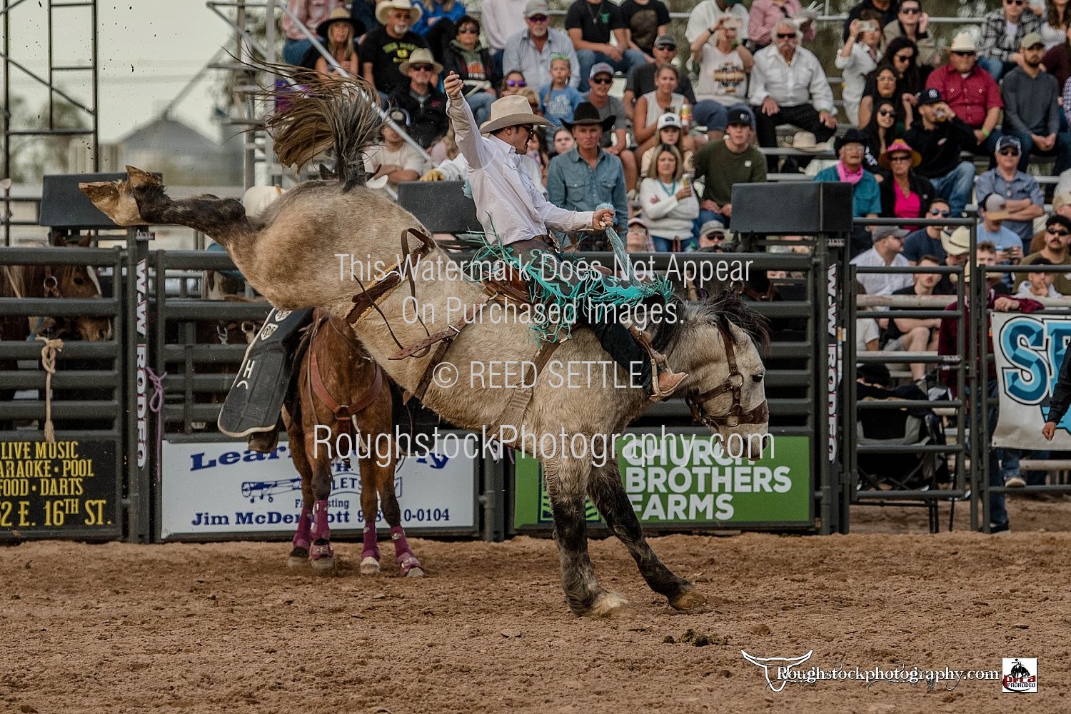SaddleBronc - Rodeo/Event - 2025 - Yuma 2025 PRCA - Perf 2 - Roughstock ...