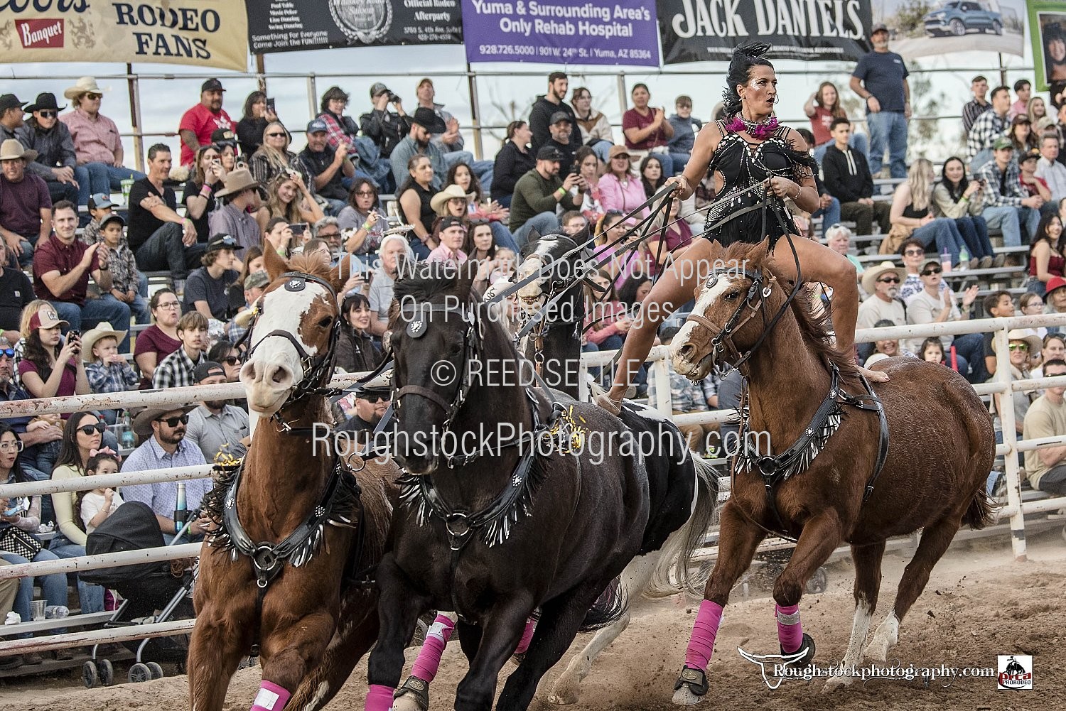 Dusty Dickerson-Specialty Act - Rodeo/Event - 2025 - Yuma 2025 PRCA ...