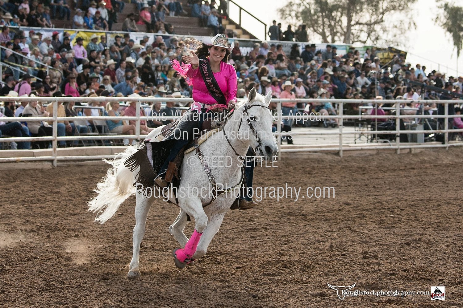 Queens, Flags - Rodeo/Event - 2025 - Yuma 2025 PRCA - Perf 2 ...